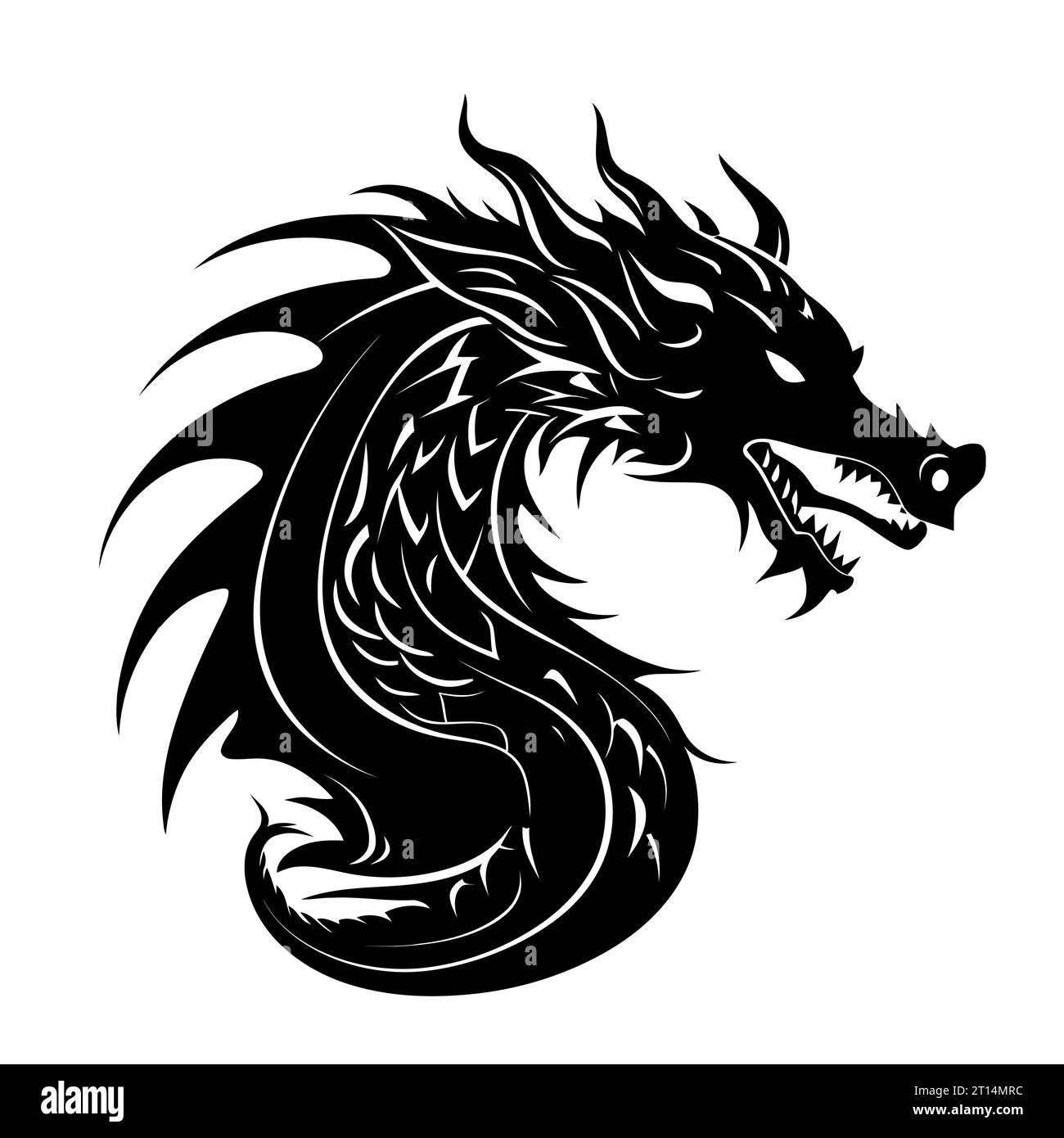 Wit Denkend Silhouet