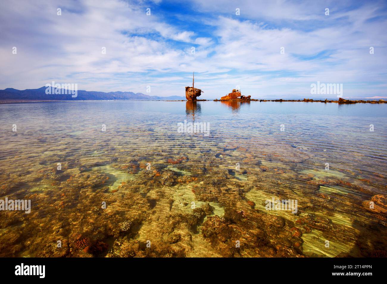 Low tide in the Nabq national park. shipwreck on the horizon. Egypt ...