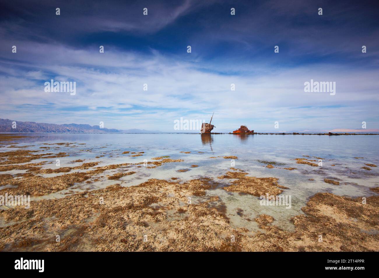 Low tide in the Nabq national park. shipwreck on the horizon. Egypt ...