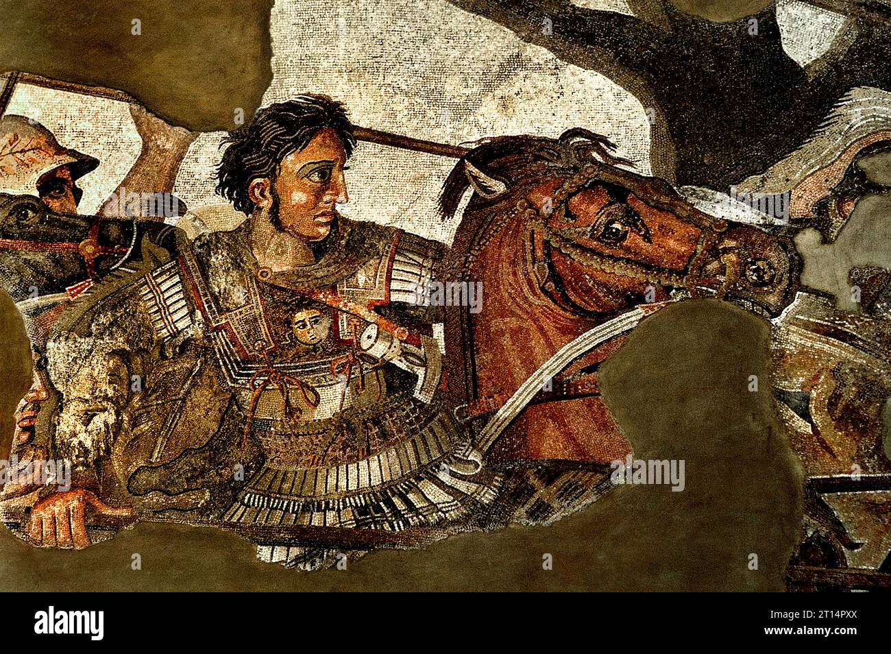 Alexander the Great in battle with Persian King Darius III ,Alexander ...