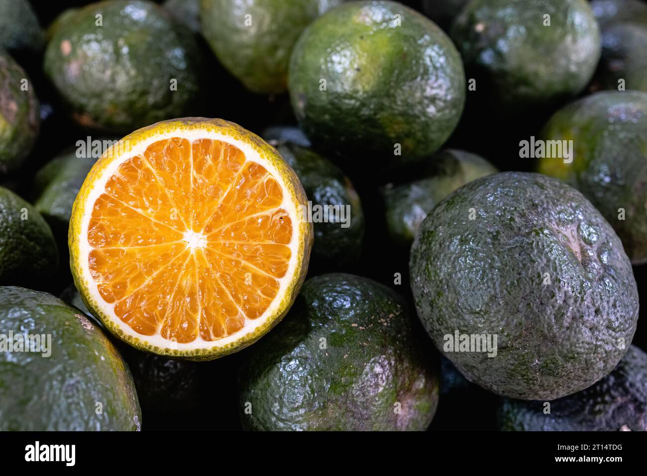Group fresh organic limes hi-res stock photography and images - Alamy