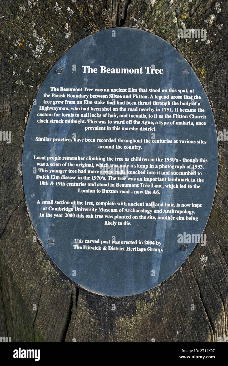 The plaque at the site of the Beaumont Tree near Flitton Stock Photo ...