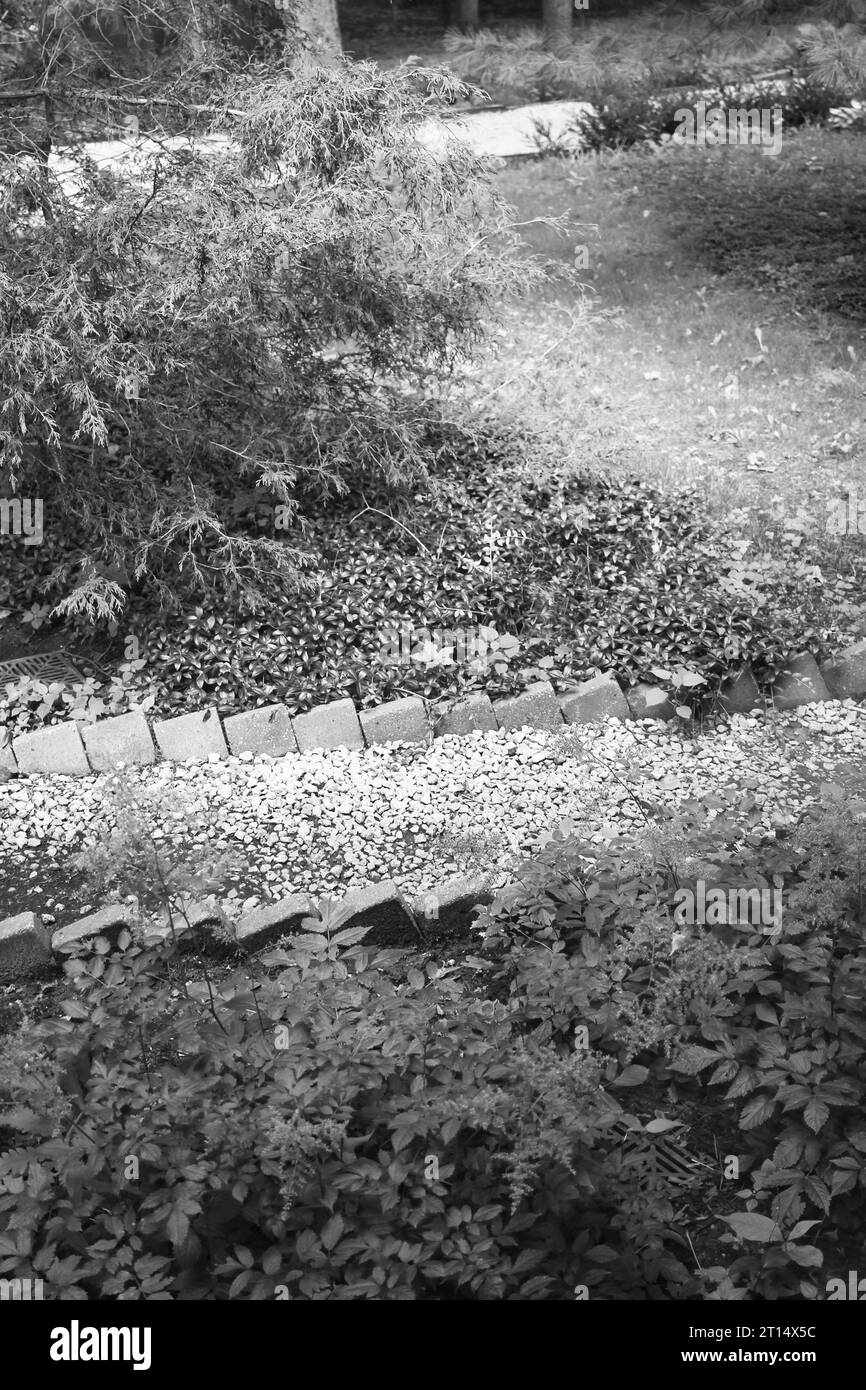 Common pathway Black and White Stock Photos & Images - Alamy