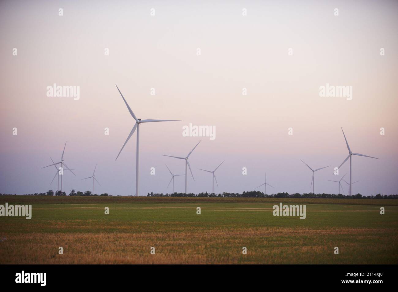 Wind power generation, Wind turbines on farmland at night Stock Photo ...
