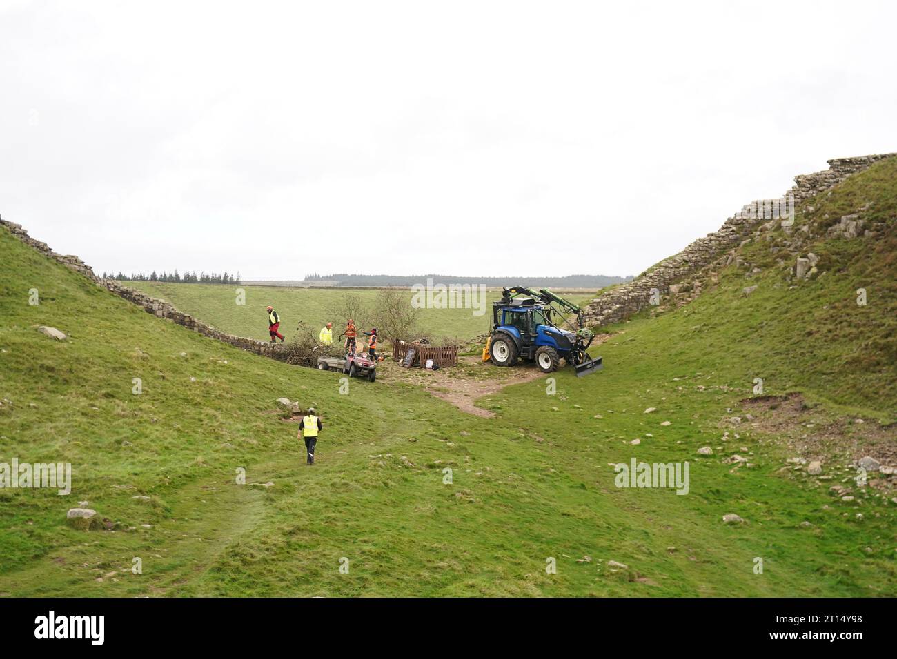 Work begins in the removal of the felled Sycamore Gap tree, on Hadrian ...