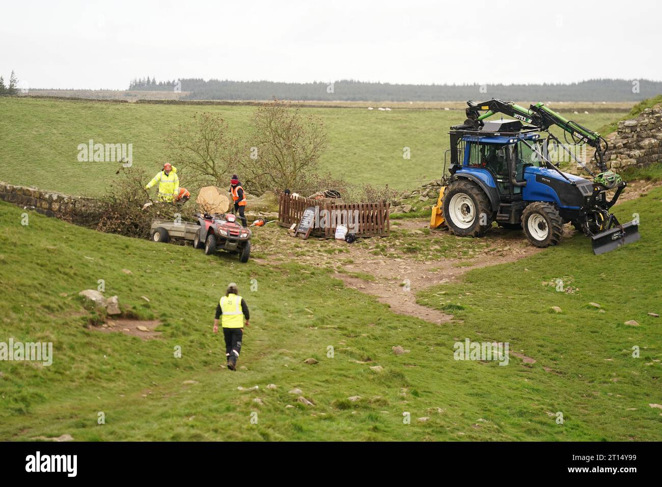 Work begins in the removal of the felled Sycamore Gap tree, on Hadrian ...