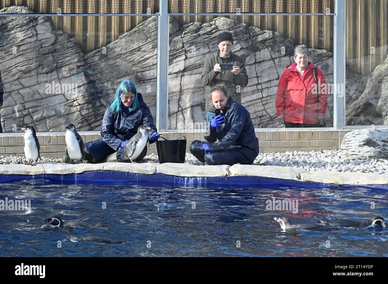 Calder marshall hi-res stock photography and images - Alamy