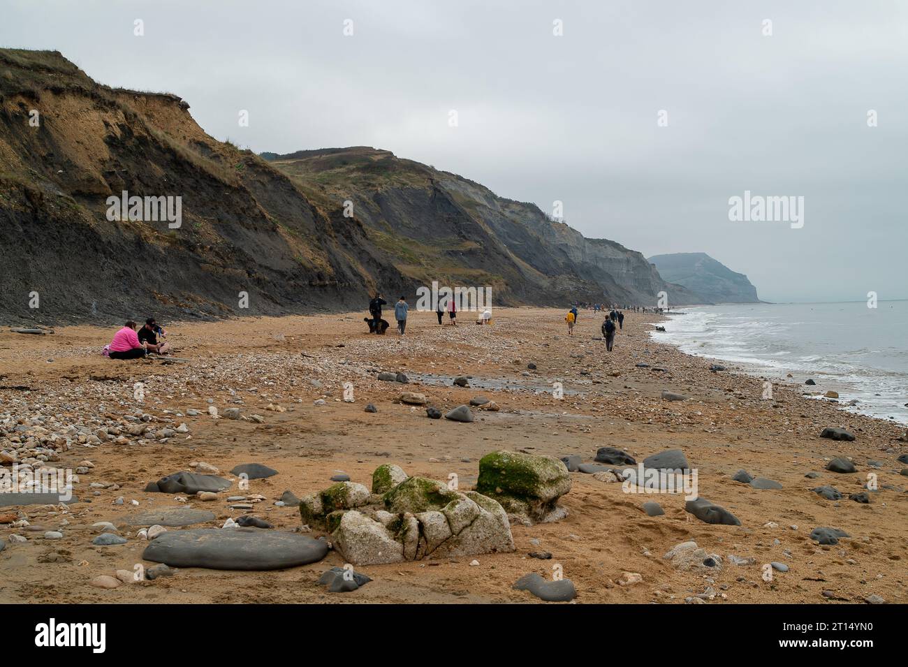 Mary anning rocks hi-res stock photography and images - Alamy