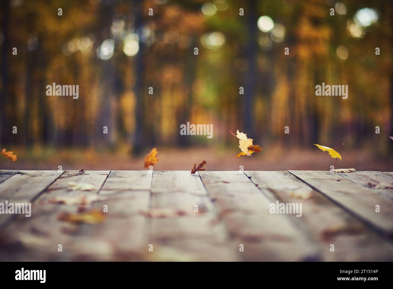 Wooden floor terrace over autumn forest background Stock Photo - Alamy