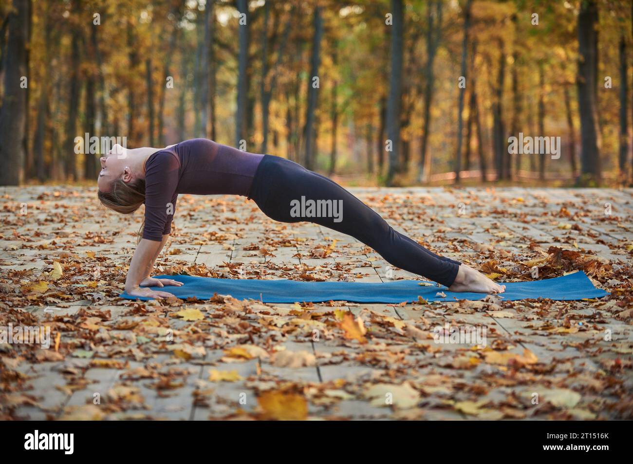 Beautiful young woman practices yoga asana Purvottanasana Upward Plank ...