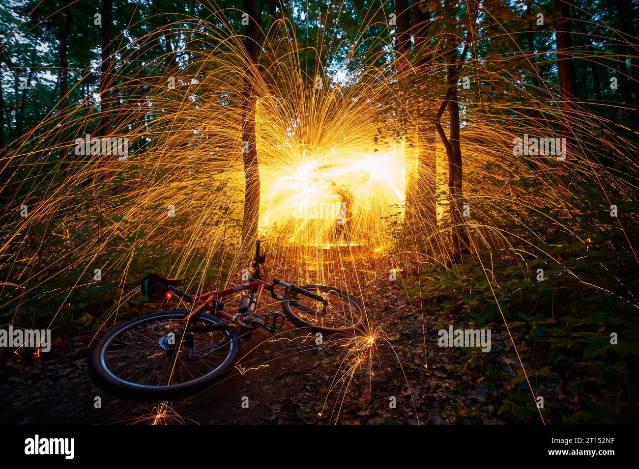 Burning steel wool spinned in the forest. Showers of glowing sparks ...