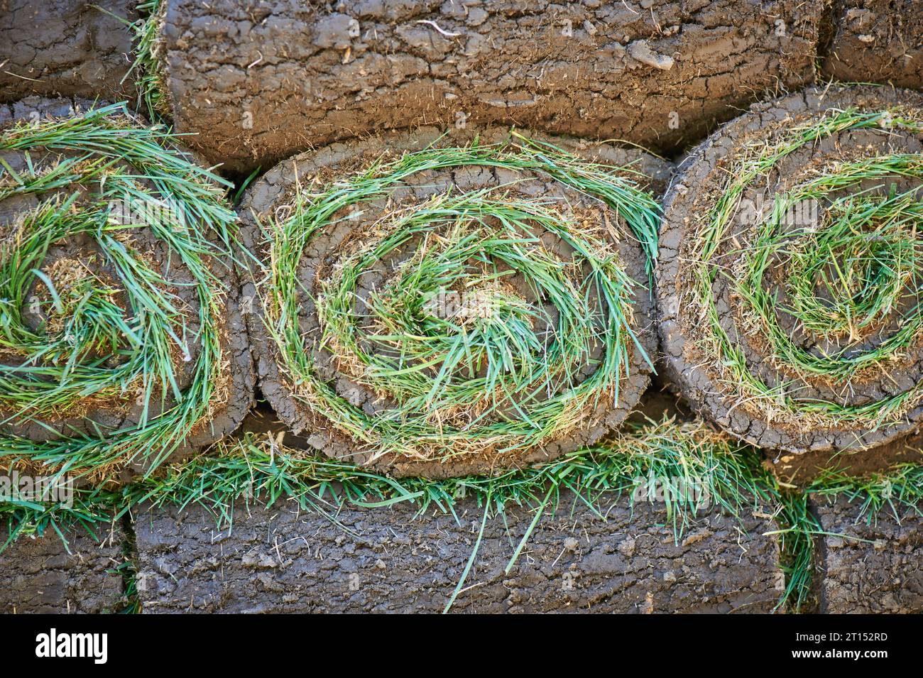 Sodroll hi-res stock photography and images - Alamy