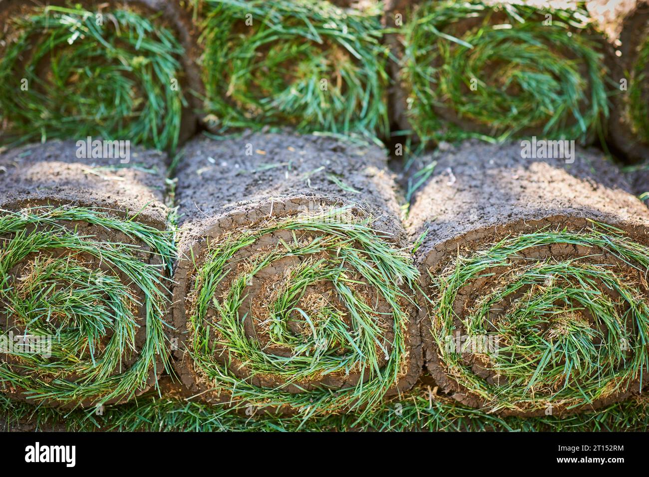 stacks of sod rolls for new lawn background Stock Photo - Alamy