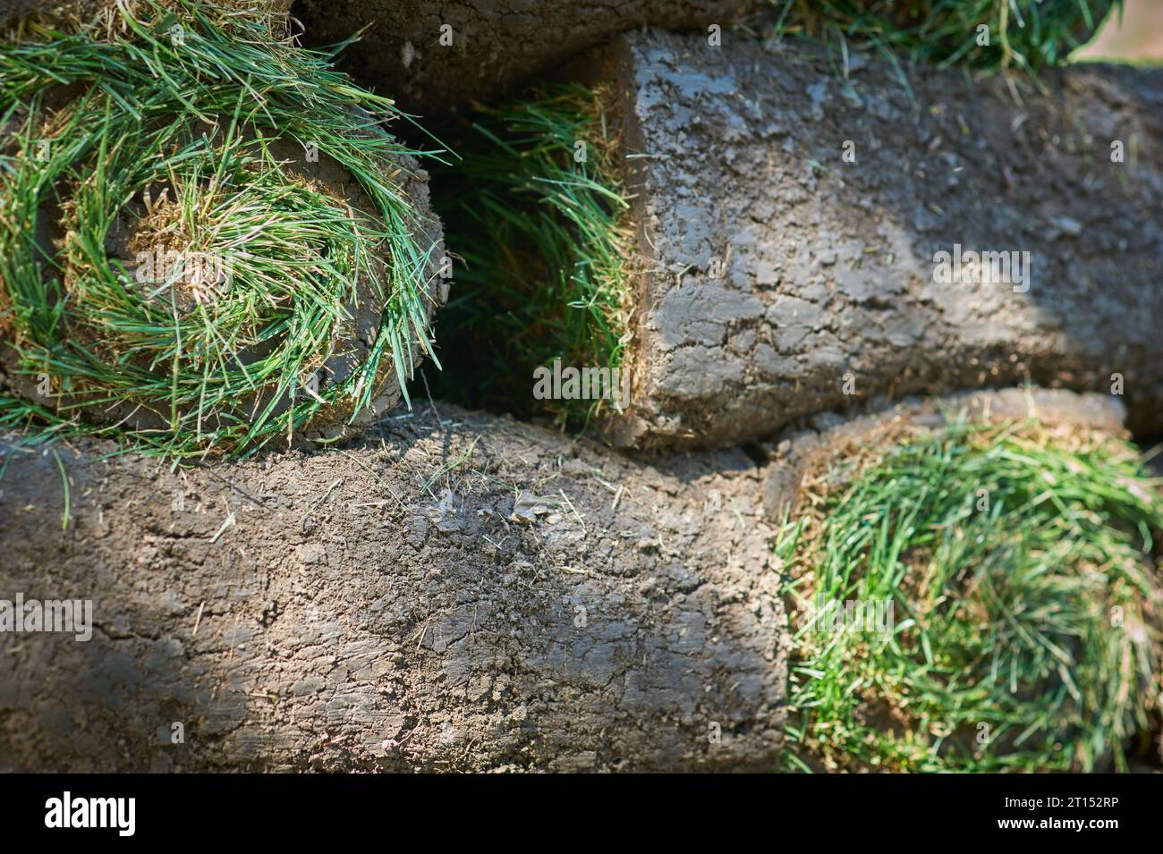 stacks of sod rolls for new lawn background Stock Photo - Alamy