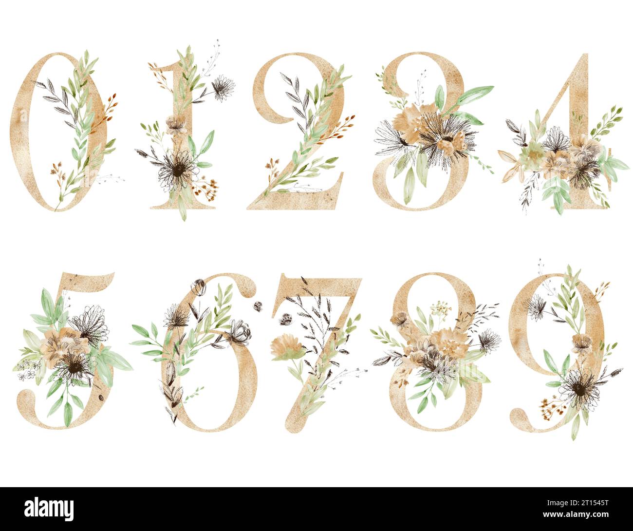 Watercolor floral numbers with flowers for wedding invitations ...