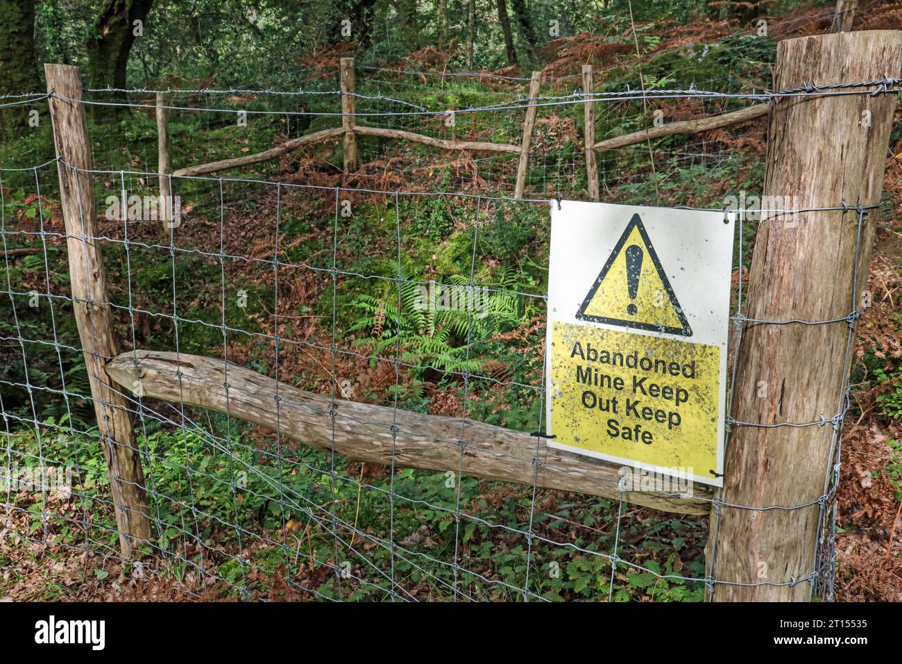 A cordoned off dangerous mine in Dewerstone Woods on the edge of ...