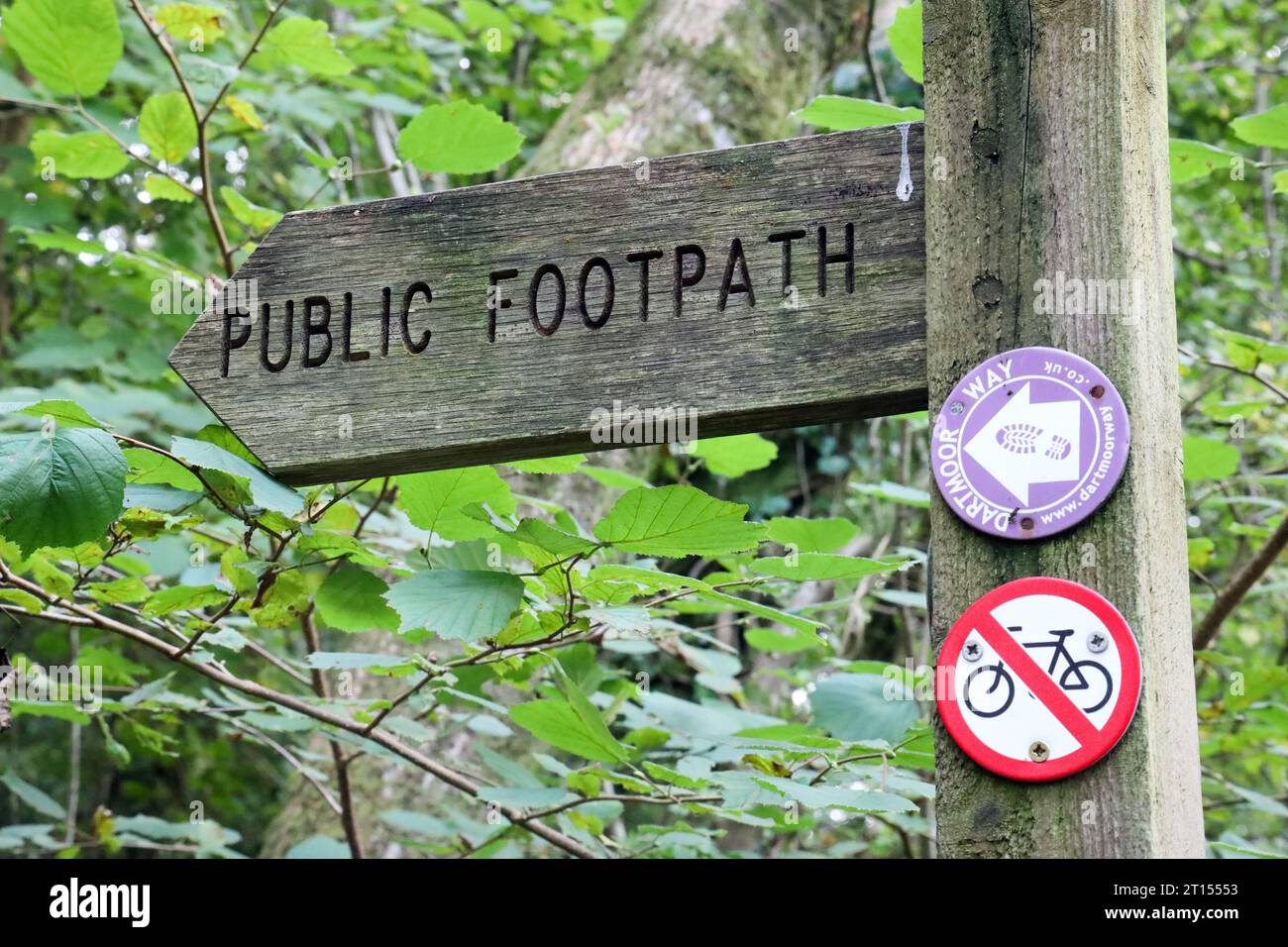 A wooden direction sign in woodlands at Shaugh Bridge on the edge of ...