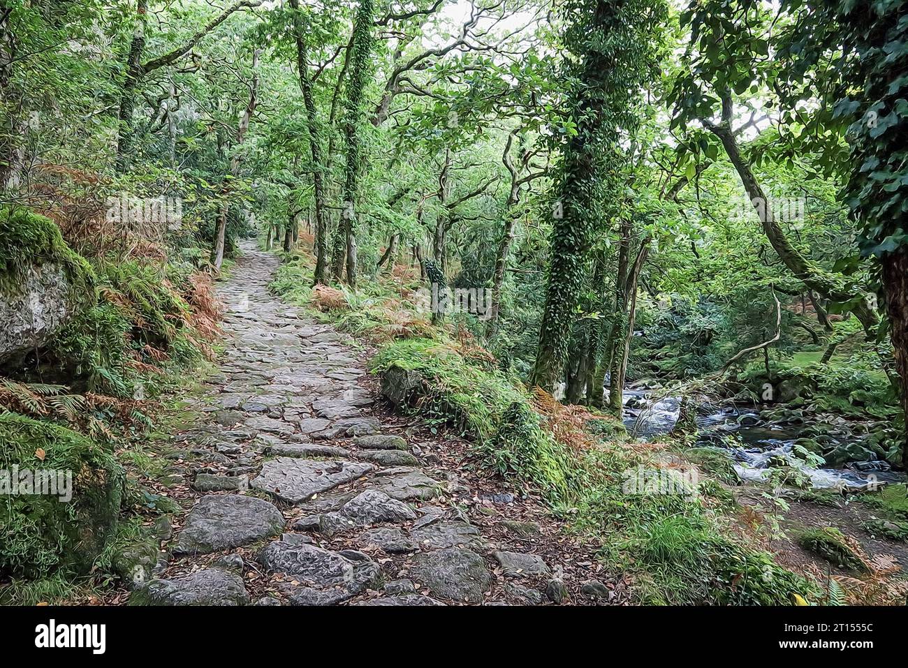 Photo illustration of The historic granite boulder pathway at ...