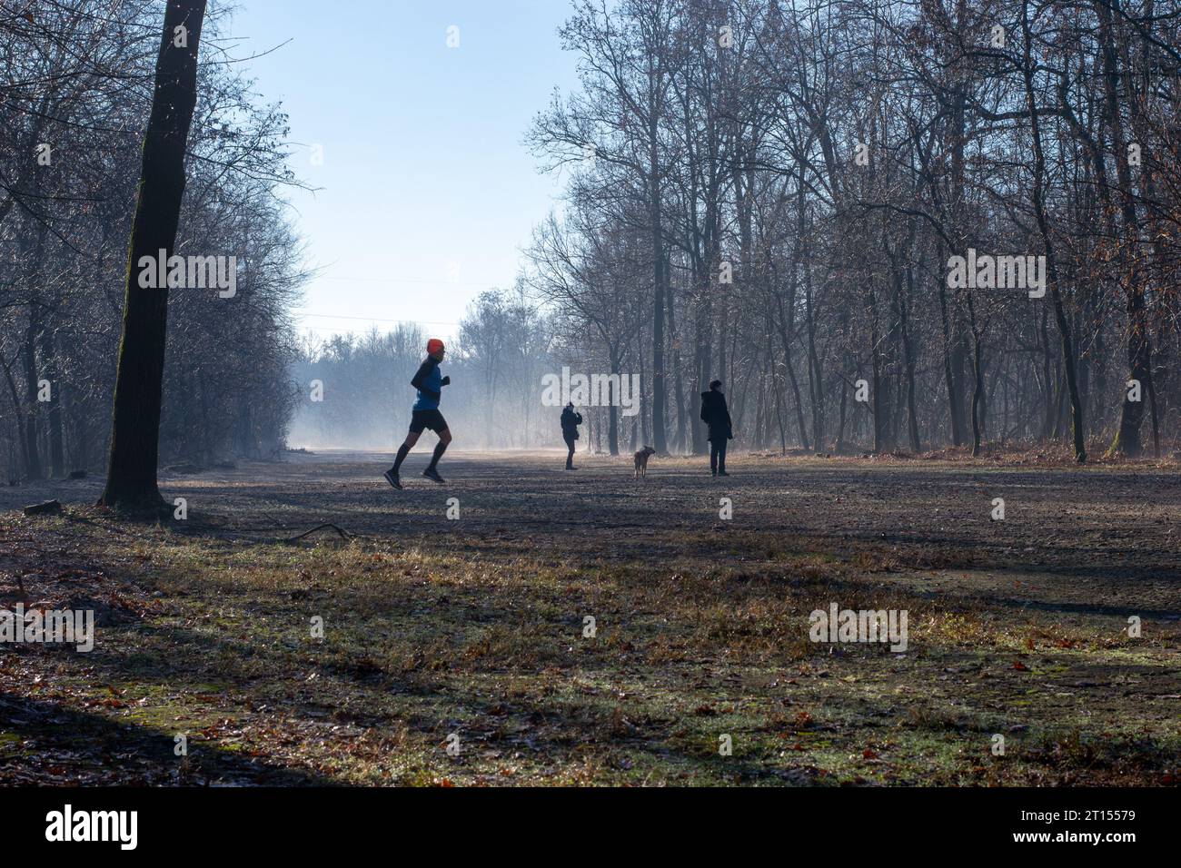 Running along path in woods hi-res stock photography and images - Alamy