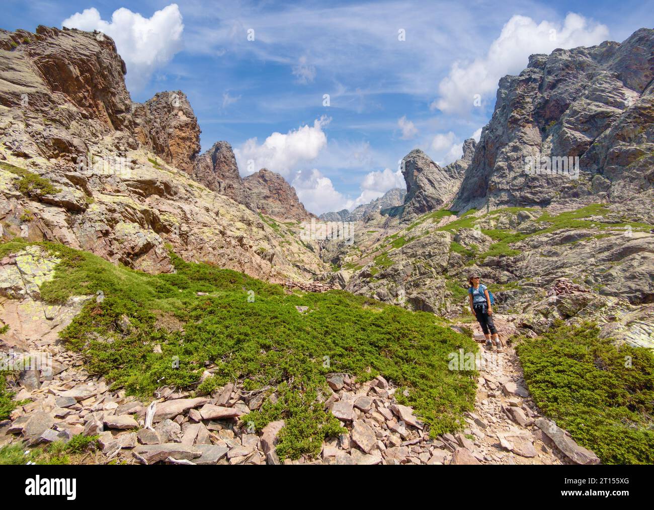 Corse (France) - Corsica is a big marine french island in Mediterranean ...