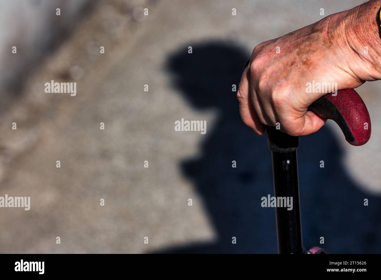 The spotted hand of an old woman on her stick conveys survival's ...
