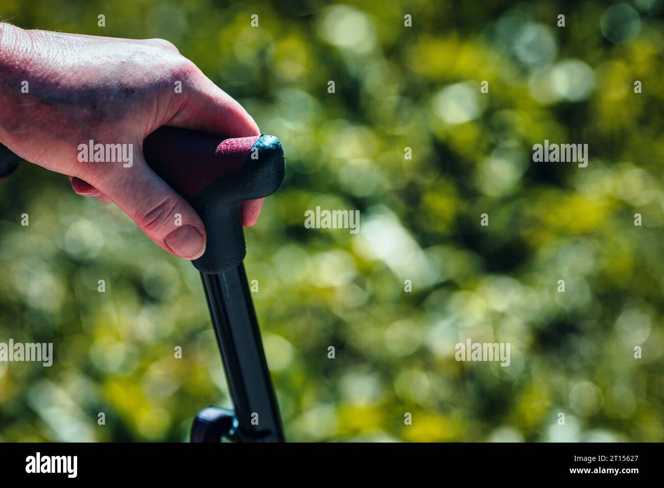 Marked by time, the senior woman's hand on her walking stick represents ...