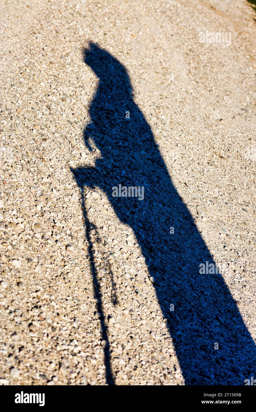 Life necessity hi-res stock photography and images - Alamy