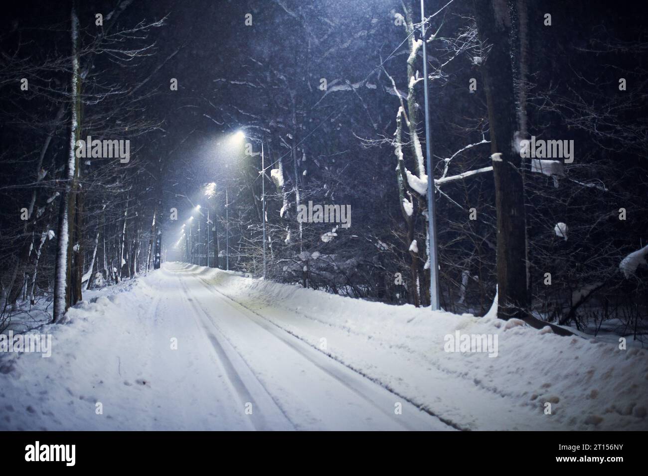 Landscape of empty night winter road covered by snow. Forest scene ...