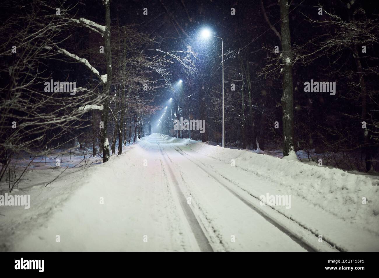 Landscape of empty night winter road covered by snow. Forest scene ...