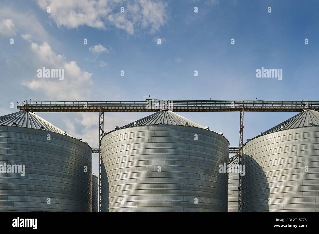 Building for storage and drying of grain crops. Agricultural Silo Stock ...