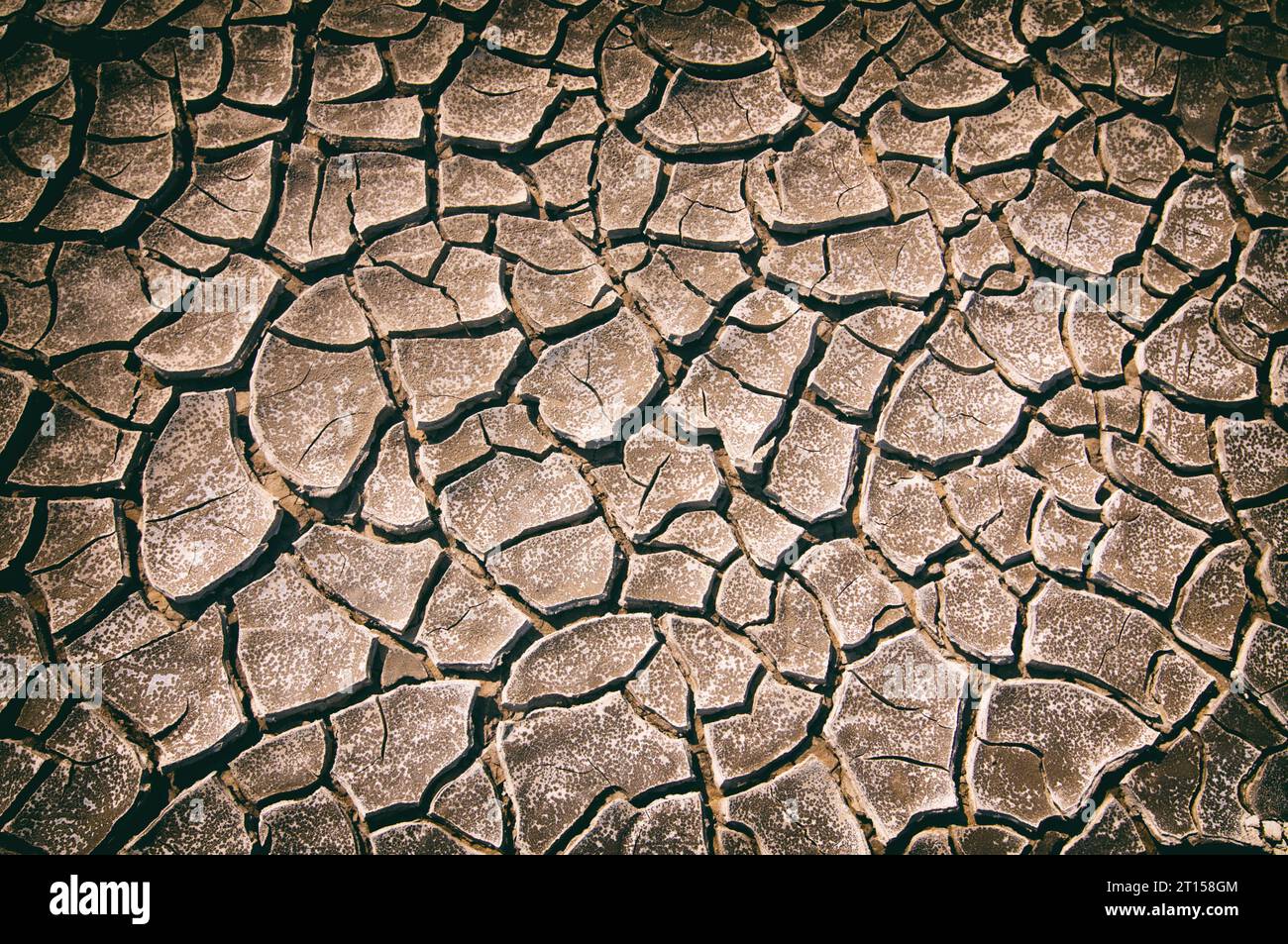 top view cracked dry ground abstract background closeup Stock Photo - Alamy
