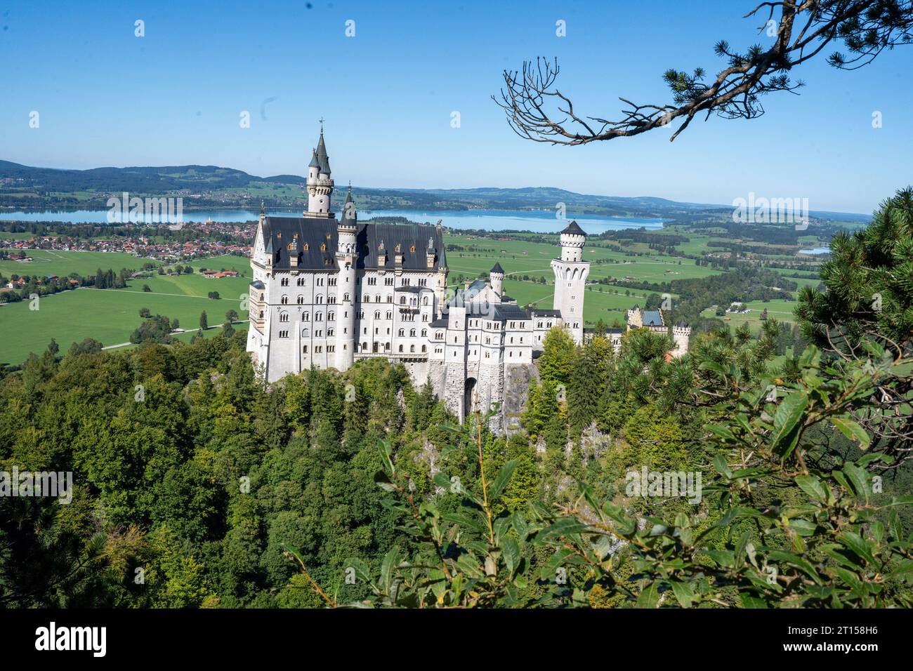 Neuschwanstein Castle, a 19th century historical palace on a rugged ...