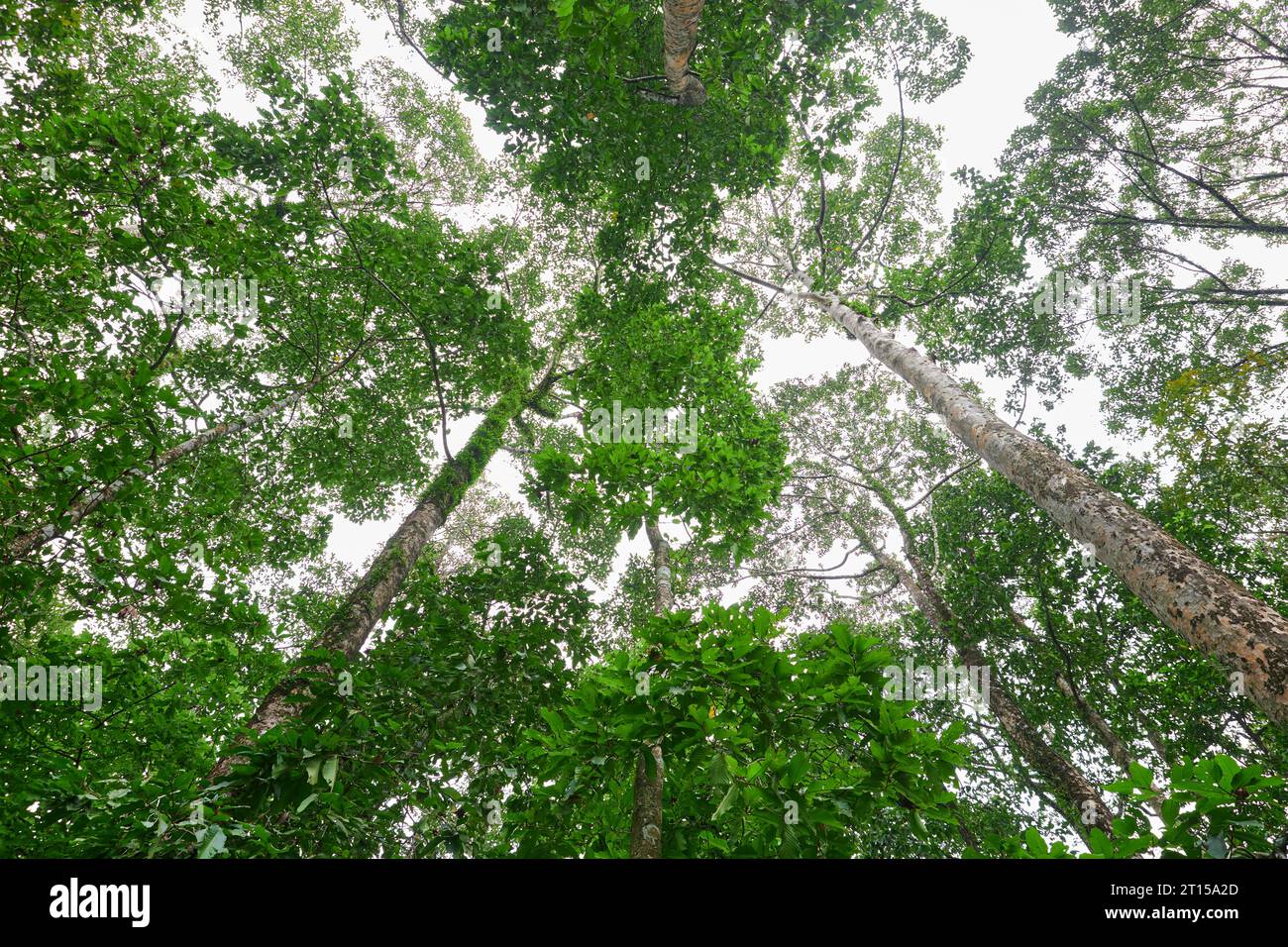 People park high angle low sun hi-res stock photography and images - Alamy