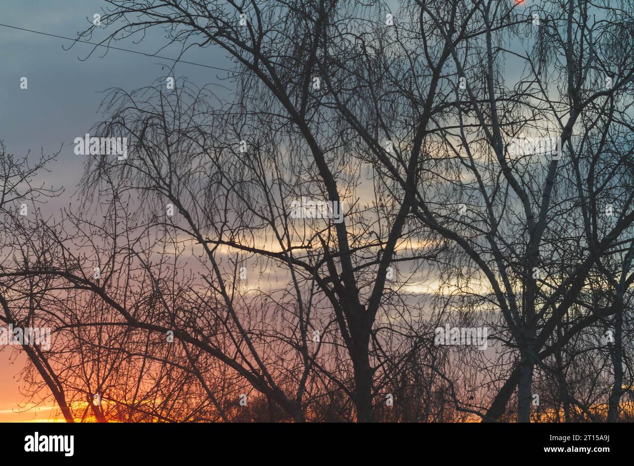 Beautiful morning dawn in spring. Fantastic dawn of the spring sun. Red ...