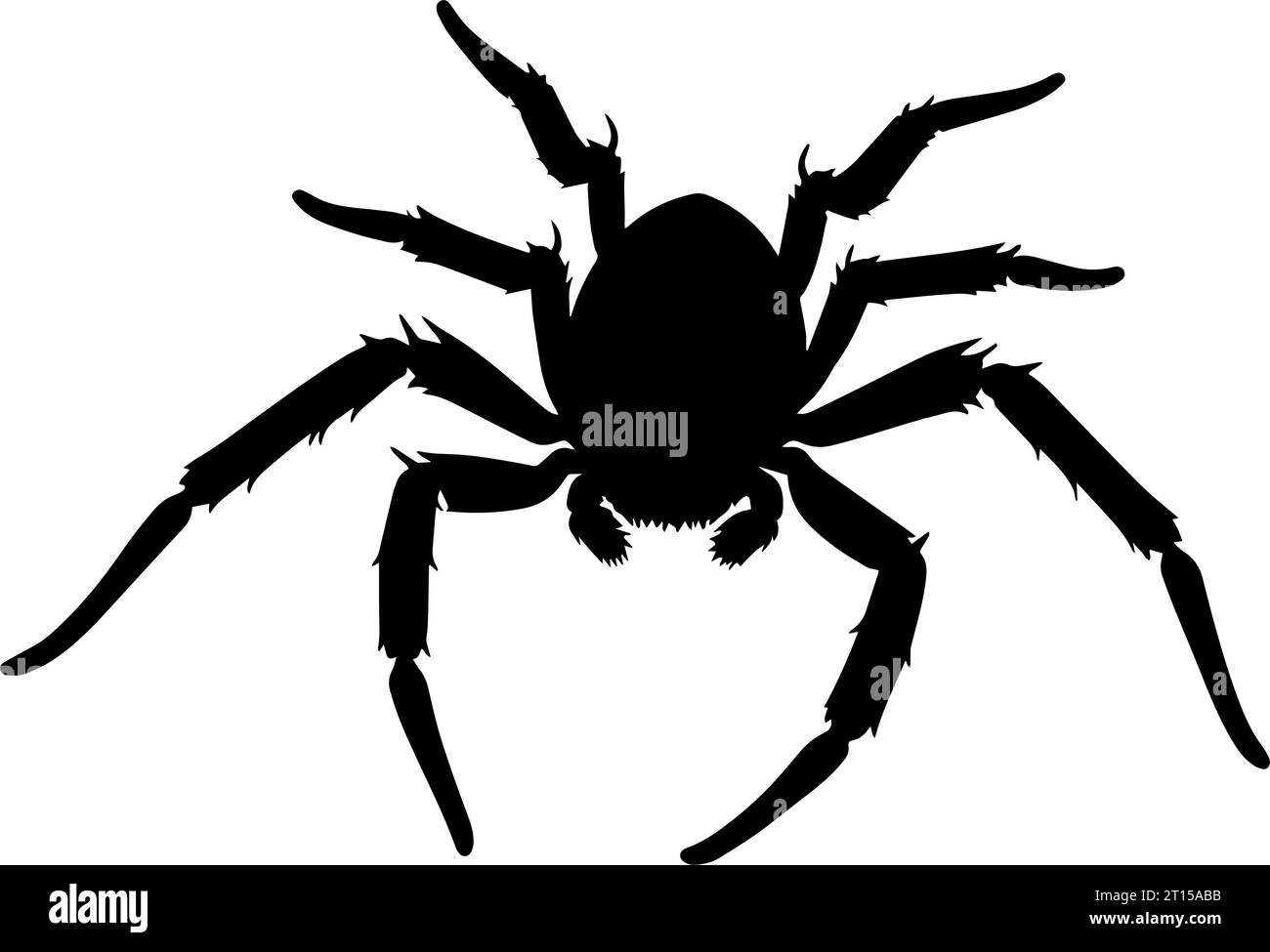 Scary spider silhouette. vector illustration Stock Vector Image & Art ...