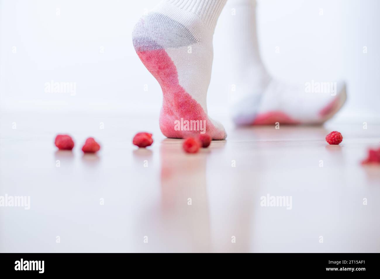 Crushing juicy berries human foot. Dirty raspberry stains on white ...