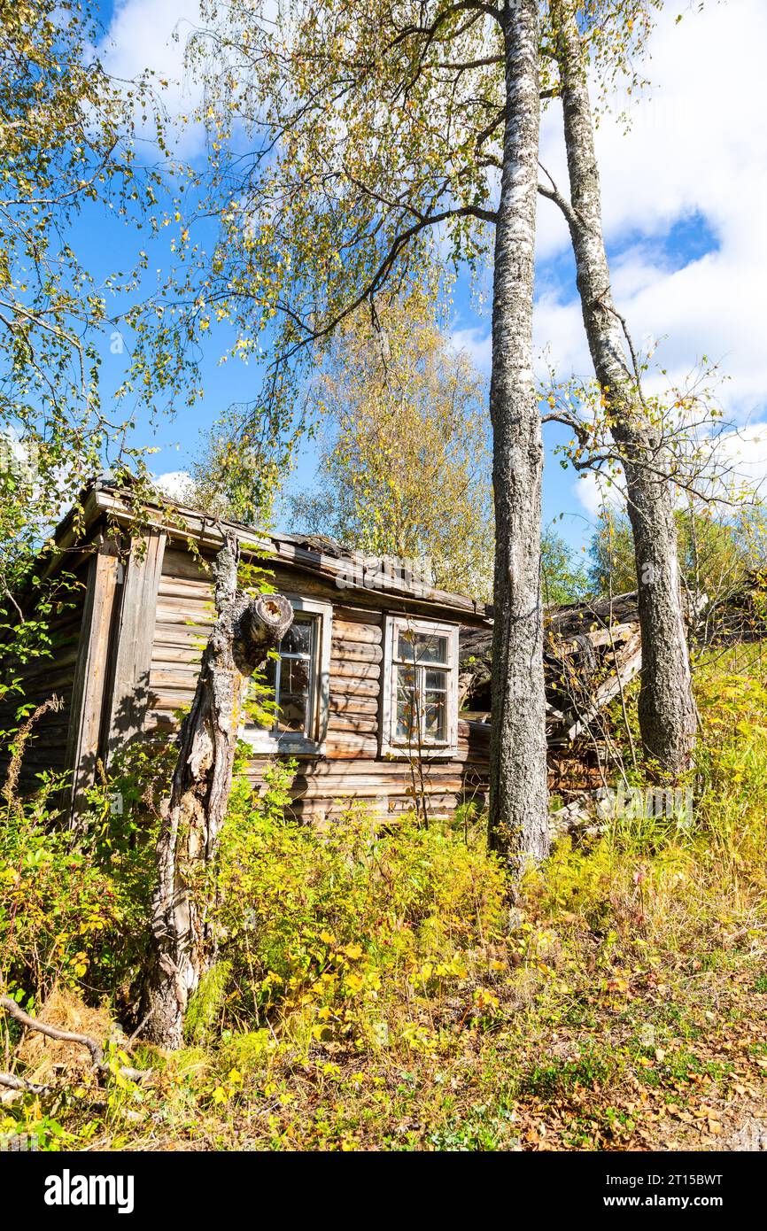 Rural abandoned broken wooden house in russian village in a summer ...