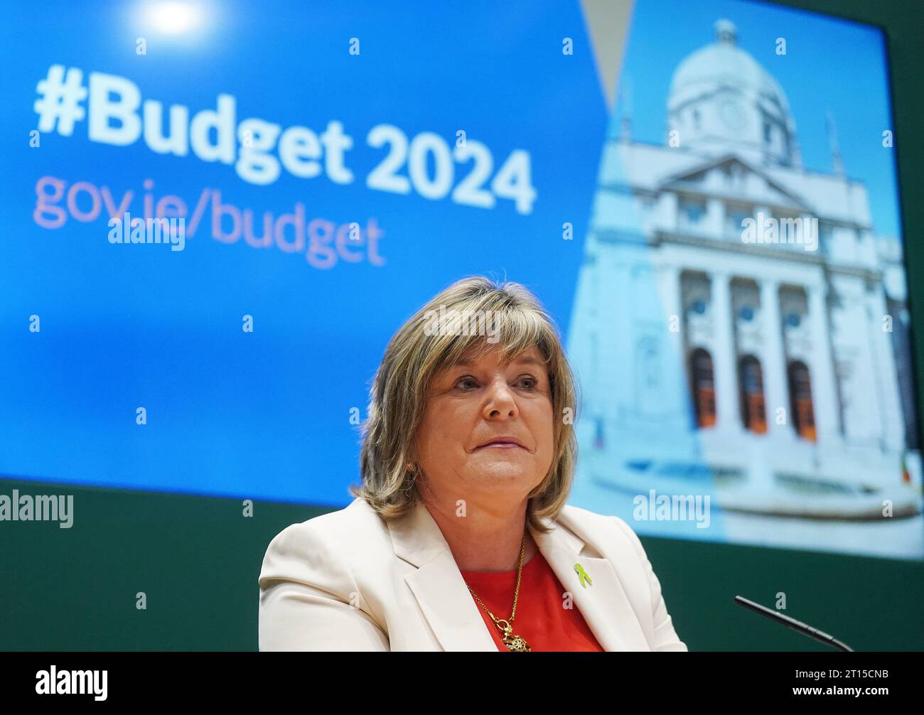 Minister of State at the Department of Health Mary Butler during a ...