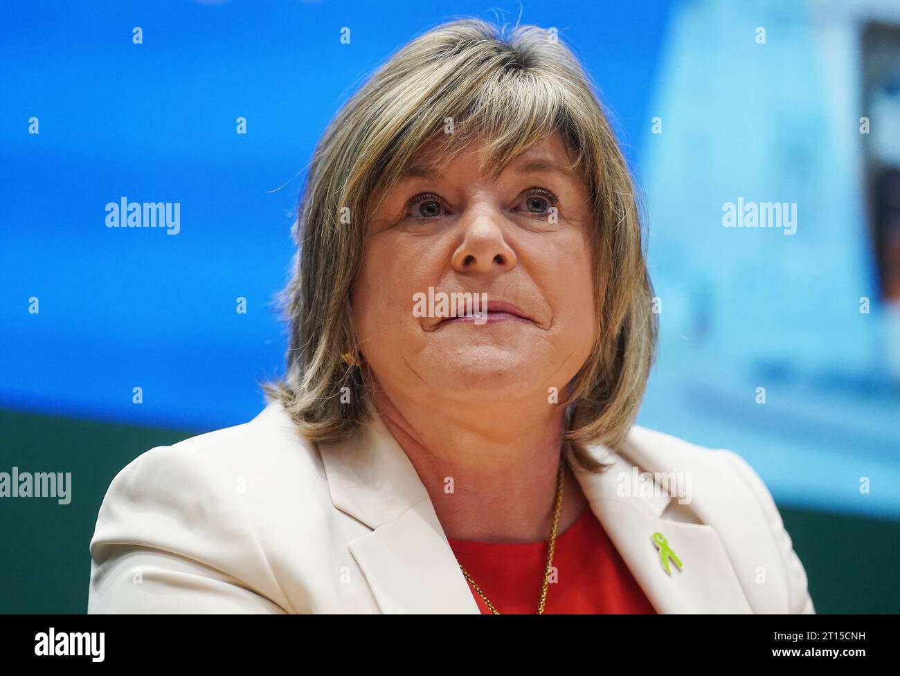 Minister of State at the Department of Health Mary Butler during a ...