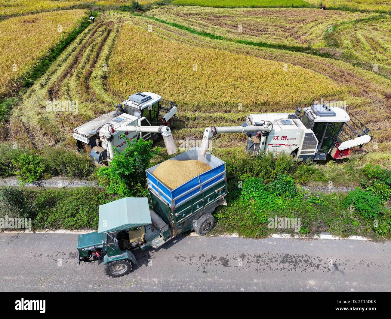 Beijing, China. 11th Oct, 2023. This aerial photo taken on Oct. 11 ...