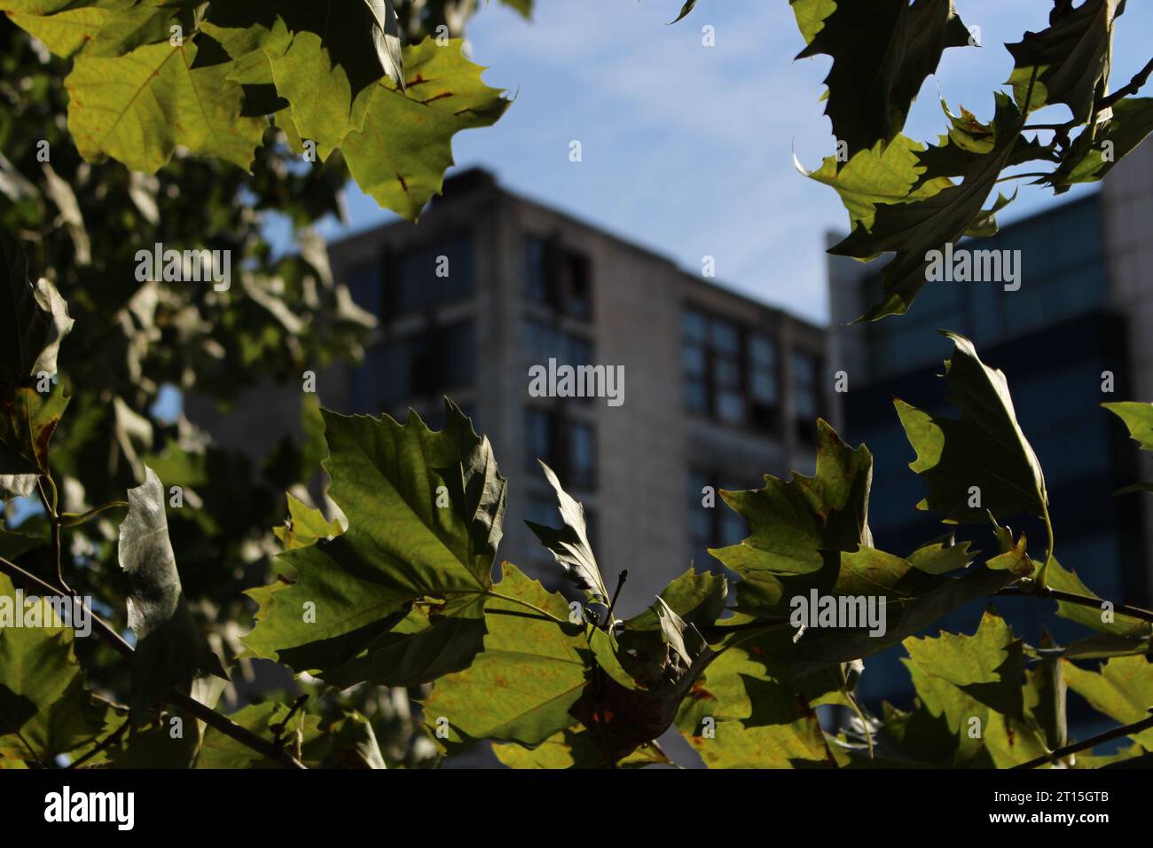 Old building out of focus Stock Photo - Alamy