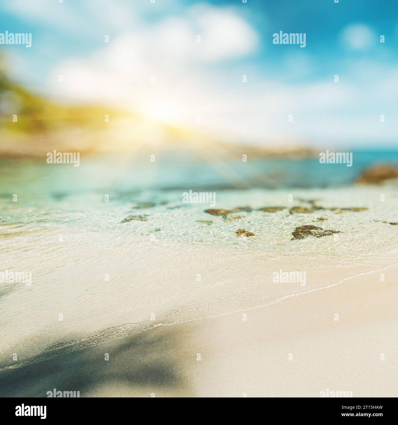 Tropical lost beach summer background Stock Photo - Alamy
