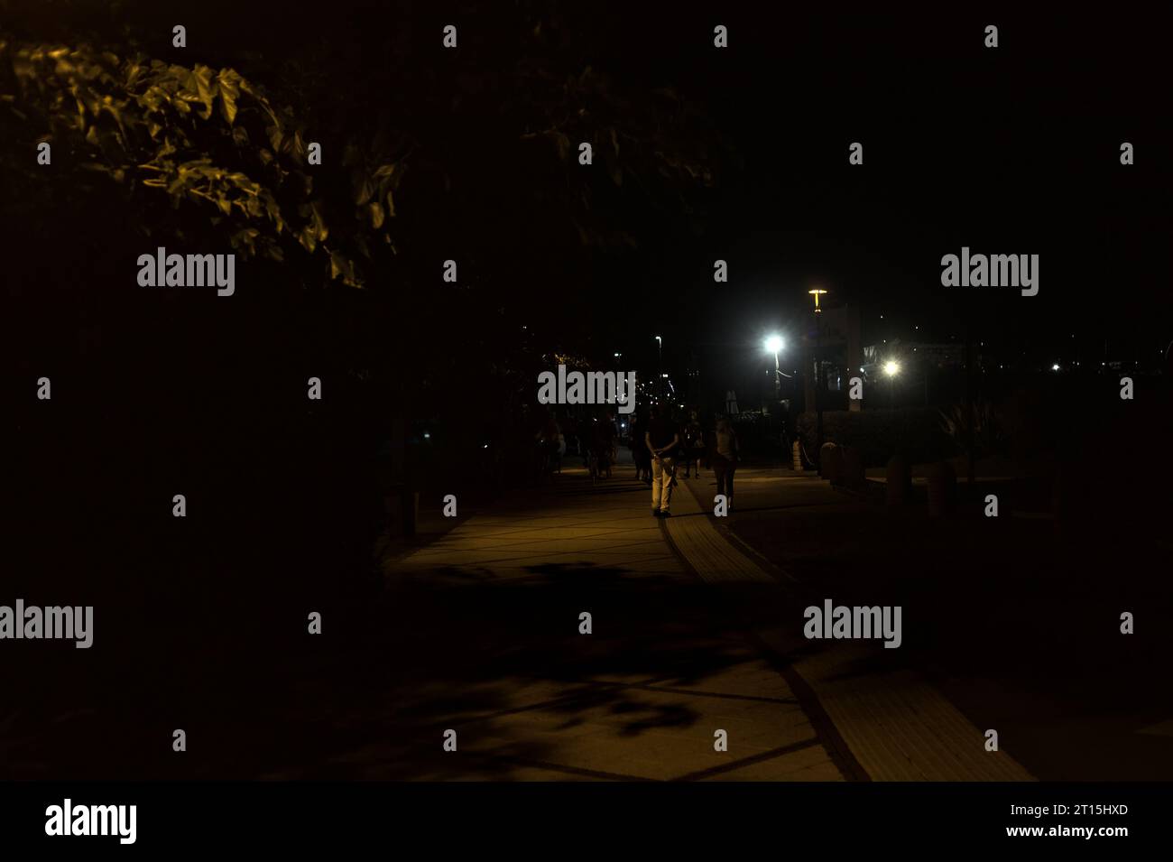 Promenade bordered by trees by the seaside at night Stock Photo - Alamy