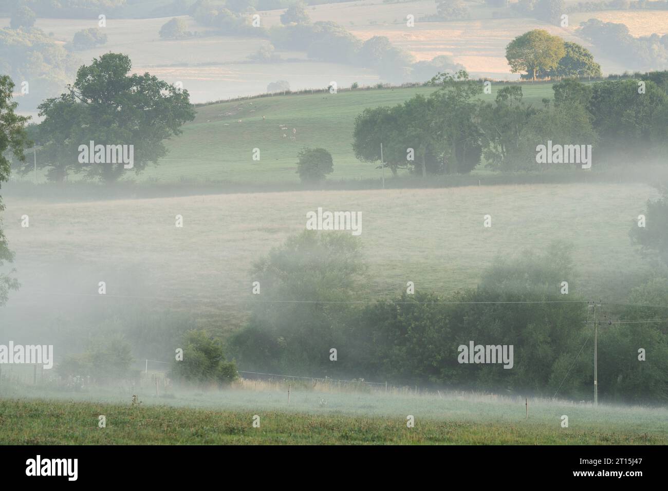 Morning mist hanging over the Clun Valley in South Shropshire, England ...