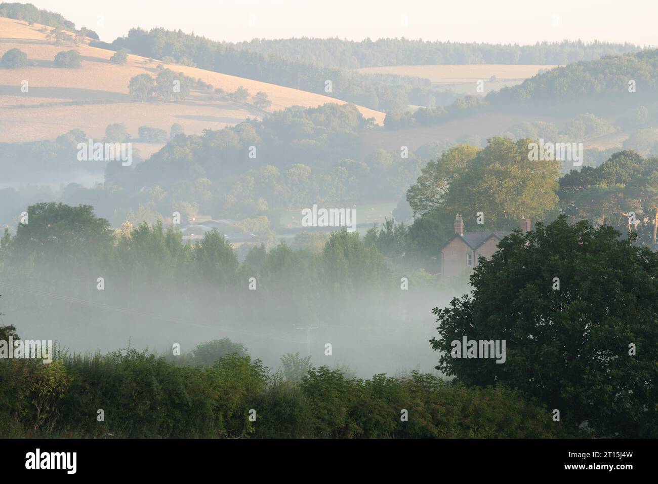 Morning mist hanging over the Clun Valley in South Shropshire, England ...