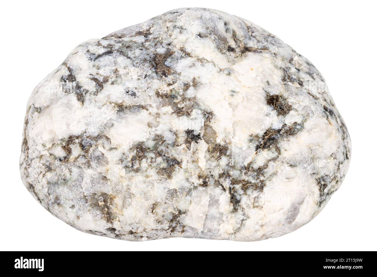 Top view of single gray pebble isolated on white background Stock Photo ...