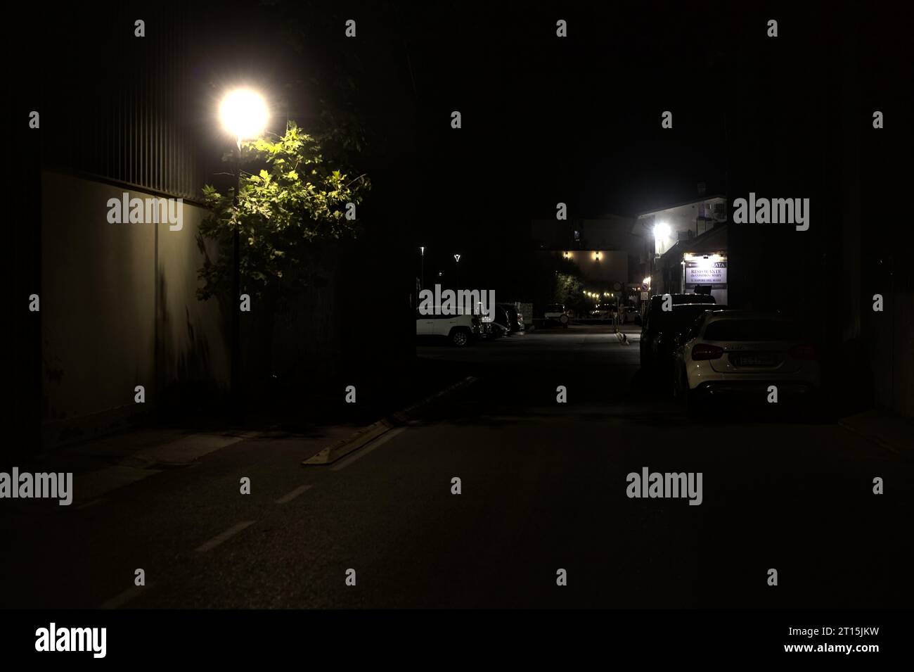 Alley at night with a tree lit by a street lamp Stock Photo - Alamy
