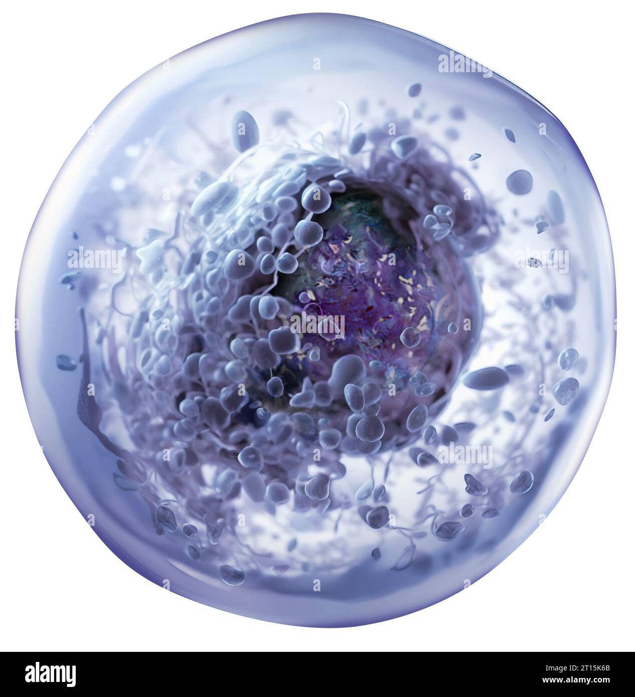 3D rendering of a human cell, isolated on a white background Stock ...