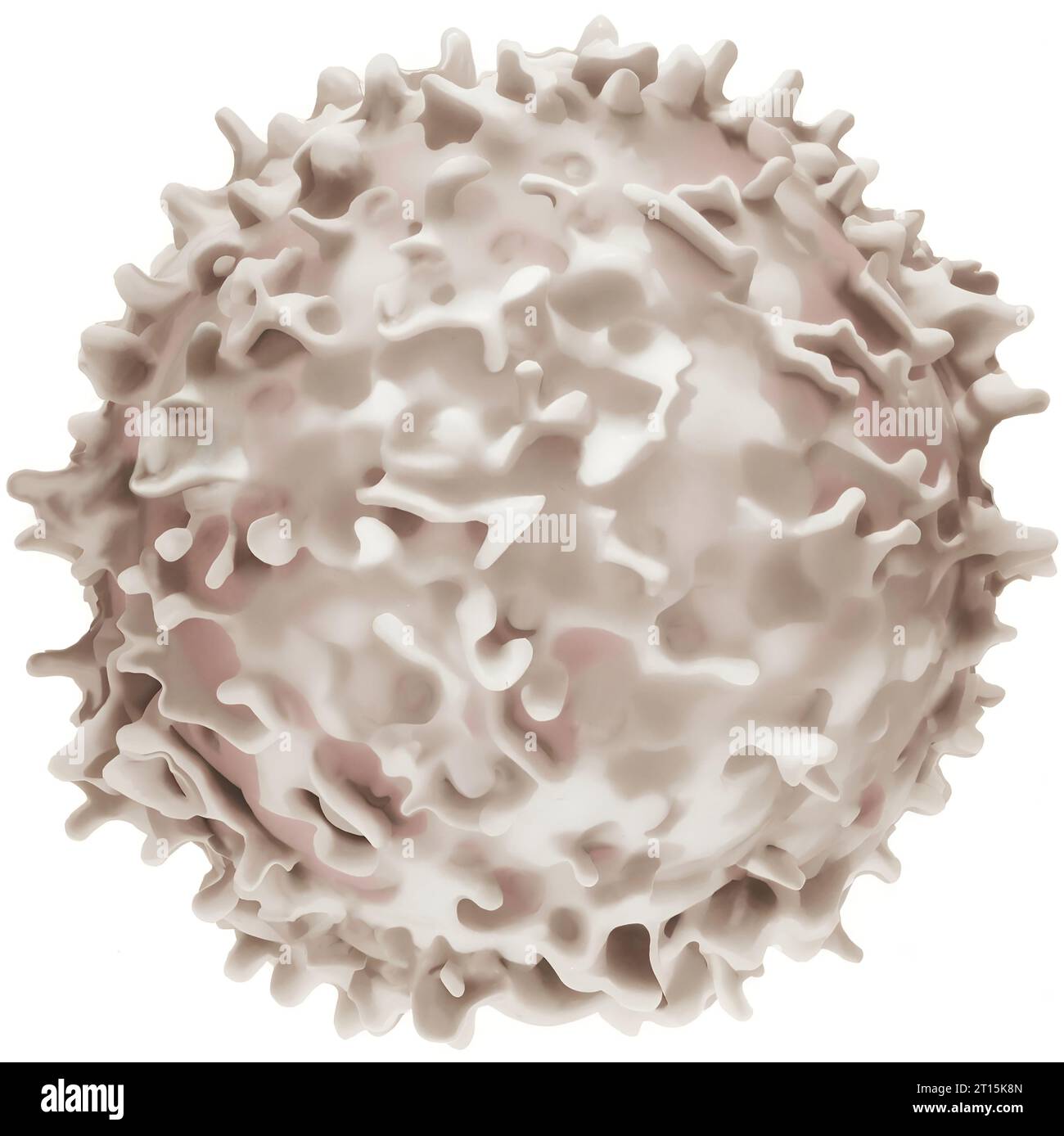 Granulocytes white blood cell isolated on white background Stock Photo ...