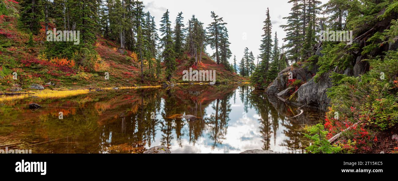 Lake on top of a Mountain with colorful wild flowers and trees in Fall ...